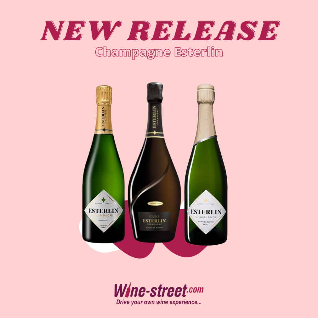 Champagne Esterlin, Eclat NV Brut 750 – Wine-street | Best wines for ...